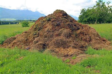 Farmyard Manure Preparation Methods Advantages Agri Farming