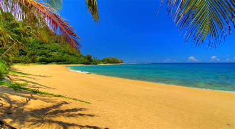 [100 ] Cute Beach Wallpapers