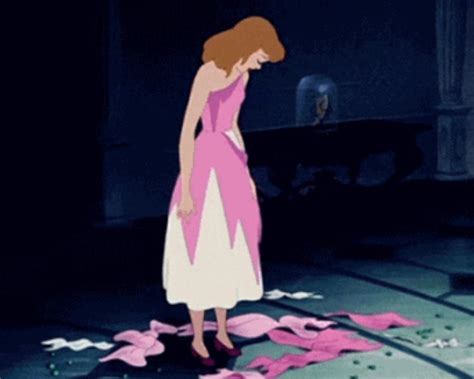 신데렐라 사진 지식in