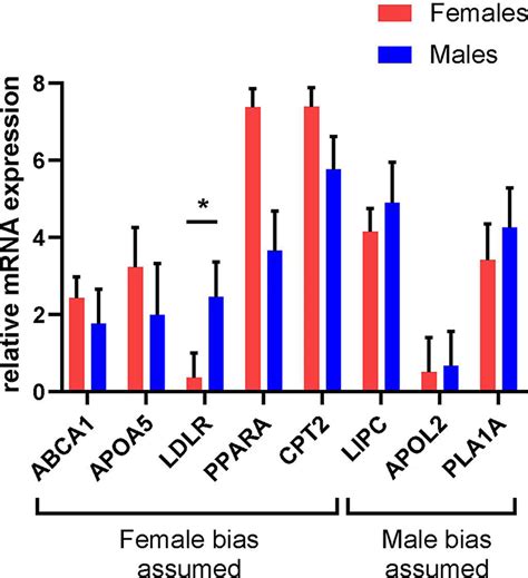 Sex Hormones Differently Regulate Lipid Metabolism Genes In Primary