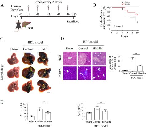 Figure 2 From Targeting Endothelial Coagulation Signaling Ameliorates