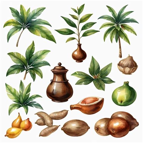 Premium Vector Colonial Vector Set White Background Isolated A High