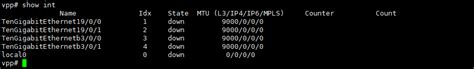 记录vpp 二层转发bridge Domain使用过程和遇到的问题 Csdn博客