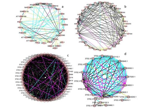 Circular Representations Obtained Through String And Cytoscape Programs