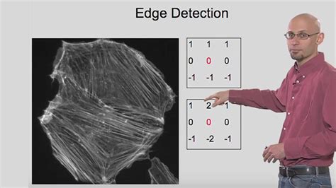 Help With Creating And Using Masks In ImageJ Image Analysis Image Sc Forum