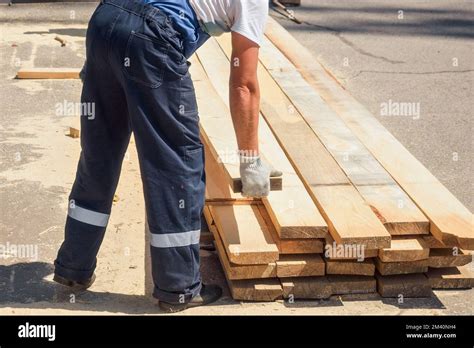Work At Sawmill On Summer Day Timber Harvesting For Construction Carpenter Stacks Boards