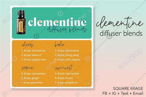 Clementine Diffuser Blends By Grit And Favor