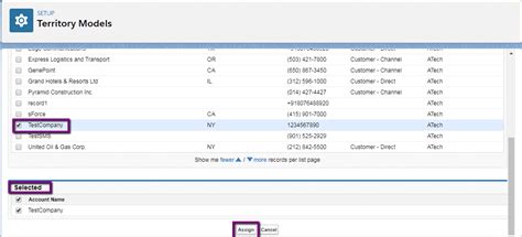 Optimizing Sales Operations With Salesforce Territory Management