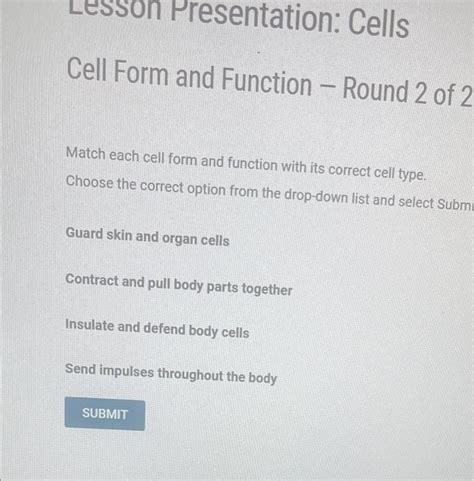 solved cell form and function round 2 of 2 match each cell