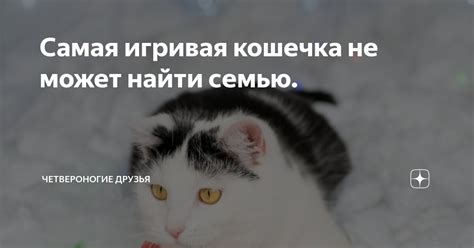 Самая игривая кошечка не может найти семью Четвероногие Друзья Дзен