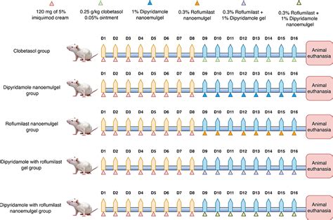 Topical Application Of Dipyridamole And Roflumilast ‎combination Nan Ijn