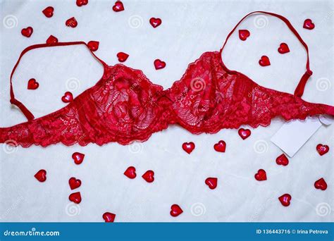 Romantic Lingerie For The Temptation Of Valentine S Day Stock Photo Image Of Padded Romance