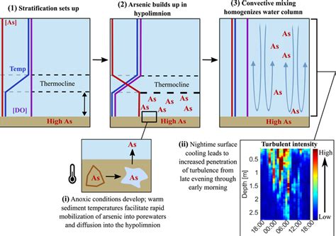 Schematic Of Processes That Lead To High Near‐surface Arsenic Download Scientific Diagram