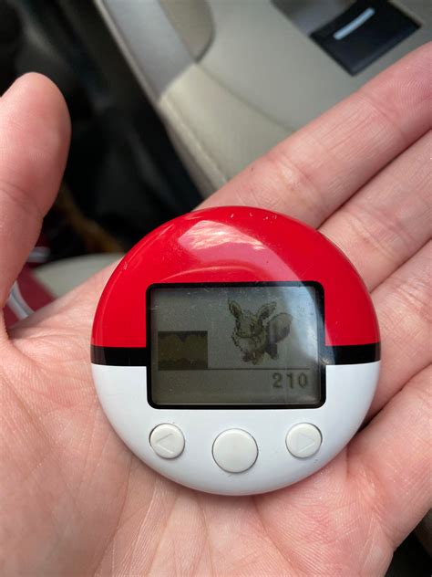 Dont Mind Me Just Taking My Eevee For A Walk R Pokemon