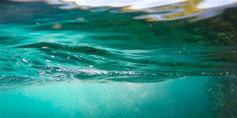 7 Pathogens That Contaminate Drinking Water Olympian Water Testing Llc