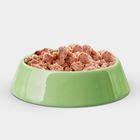 Hrană și accesorii pentru câini prețuri avantajoase zooplus ro