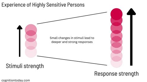 So You Are A Highly Sensitive Person Heres What It Means Cognition