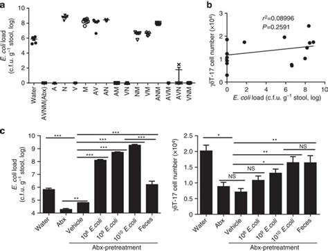 The Microbiota Maintain Homeostasis Of Liver Resident γδt 17 Cells In A