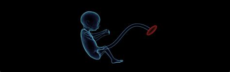 Fetal Intervention Faith Diagnostic Centre