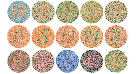 Understanding Different Types Of Color Blindness