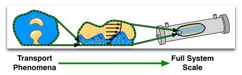 Multiscale Thermal Fluids And Energy Laboratory