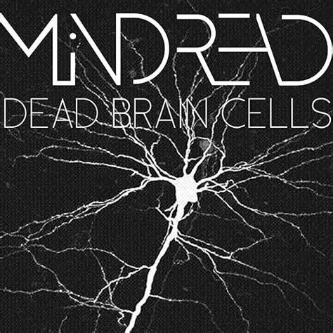 Dead Brain Cells By Mindread On Amazon Music