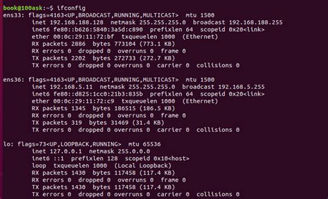 Ubuntu Ping