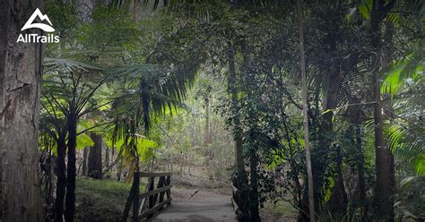 Best Walking Trails In Cornubia Forest Nature Refuge Alltrails