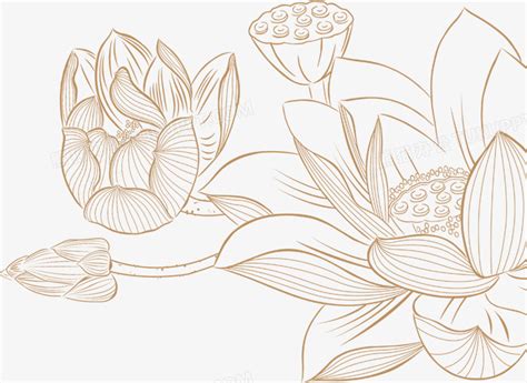 荷花莲子怎么画 荷花荷叶莲蓬简笔画 莲子怎么画简笔画 大山谷图库