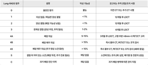 폐 Ct 결과 해석법 Lung Rads란