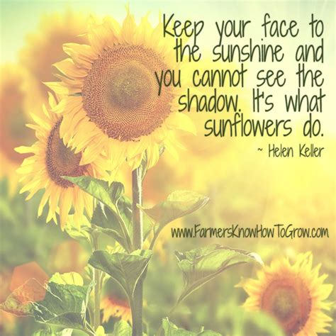 Helen Keller Handwriting Font Helen In Cursive They Must Be Felt