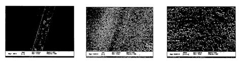 Polymeric Microstructures Eureka Patsnap