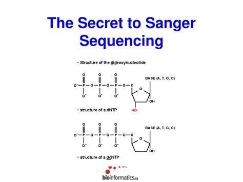 Ppt Sequencing Sequence Alignment And Software Powerpoint Presentation