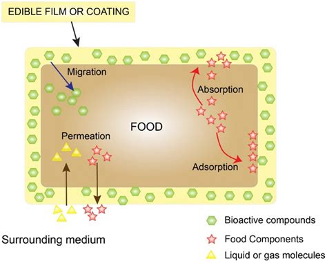 Nanoengineered Sustainable Antimicrobial Packaging Integrating Essential Oils Into Polymer