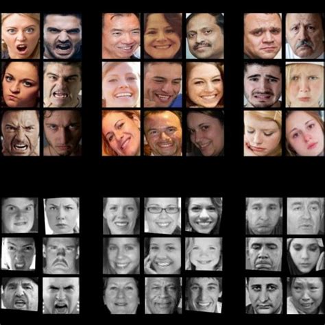 Pdf Facial Emotion Recognition Using Deep Learning Detector And Classifier