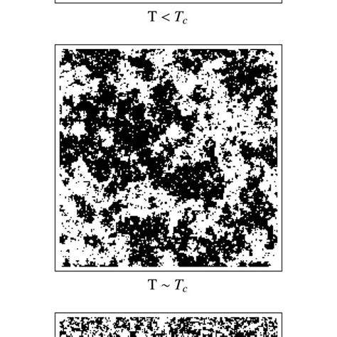 Spatial Configurations In The Ising Model Typical Spatial Download Scientific Diagram