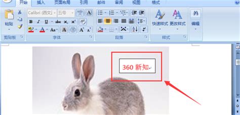 怎样用word给图片加水印360新知