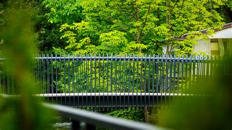 საქართველოს აბასთუმნის ისტორიული ცენტრალური პარკი უკვე მეორე წელია განახლებული სახით