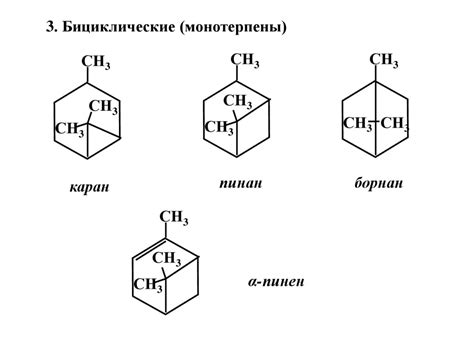 Липиды 2 Лекция №7 презентация онлайн