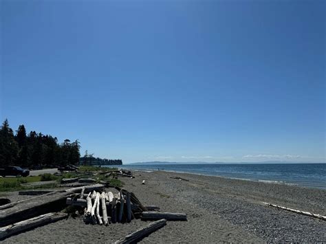 Biotoxin Levels In Shellfish Have Led To Harvesting Closures What To Know
