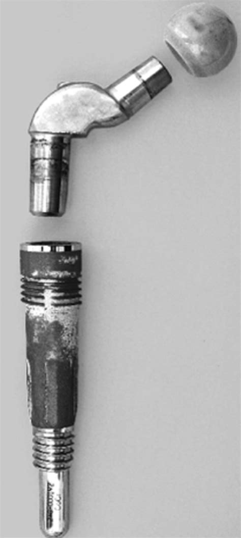 Modular Neck Femoral Stems Bone And Joint