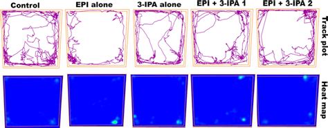 Effect Of 3 Ipa On Epi Impacted Rat Exploratory Behaviours In Rats