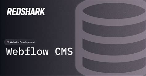 Webflow CMS Website Development In NC