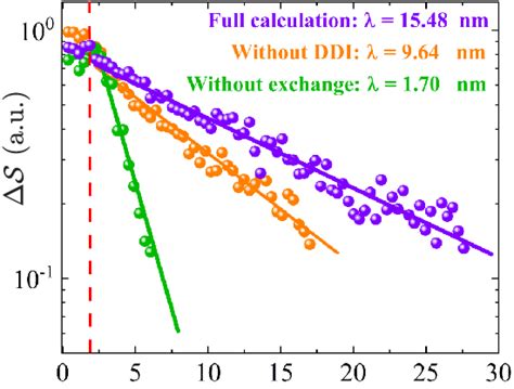 The Spatial Distribution Of The Nonequilibrium Paramagnon Density From