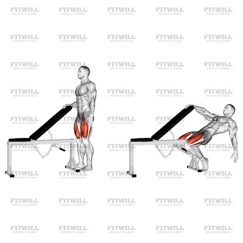 Sissy Squat Exercise Guide Video Techniques Benefits How To