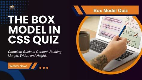 The Box Model In CSS Quiz WebDevTales