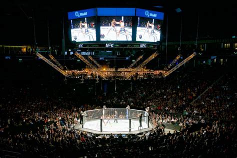 Guía De Iniciación A Ufc Qué Es Por Qué Triunfa En Todo El Mundo Y