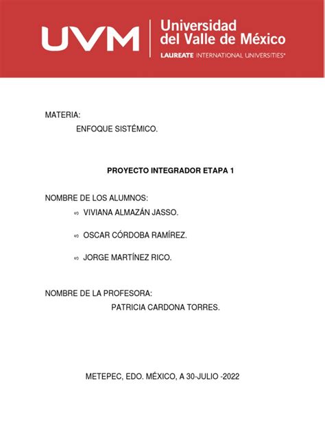 Proyecto Integrador 1 Pdf Business Economias