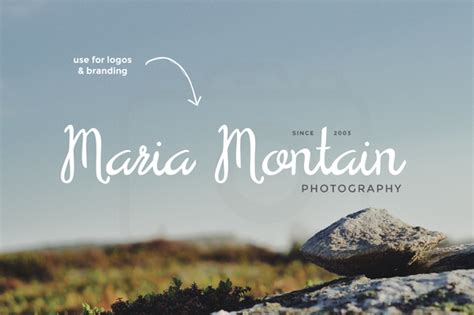Serendipity Script Font Font Slots