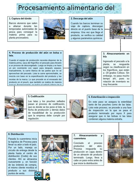 Mapas De Nutriologia Pdf Las Bacterias Archaea